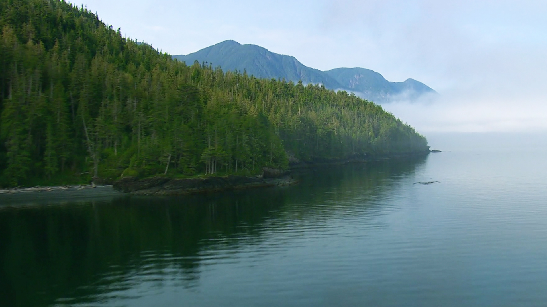 Canada Over the Edge: British Columbia - S2E9 - Johnstone Strait ...
