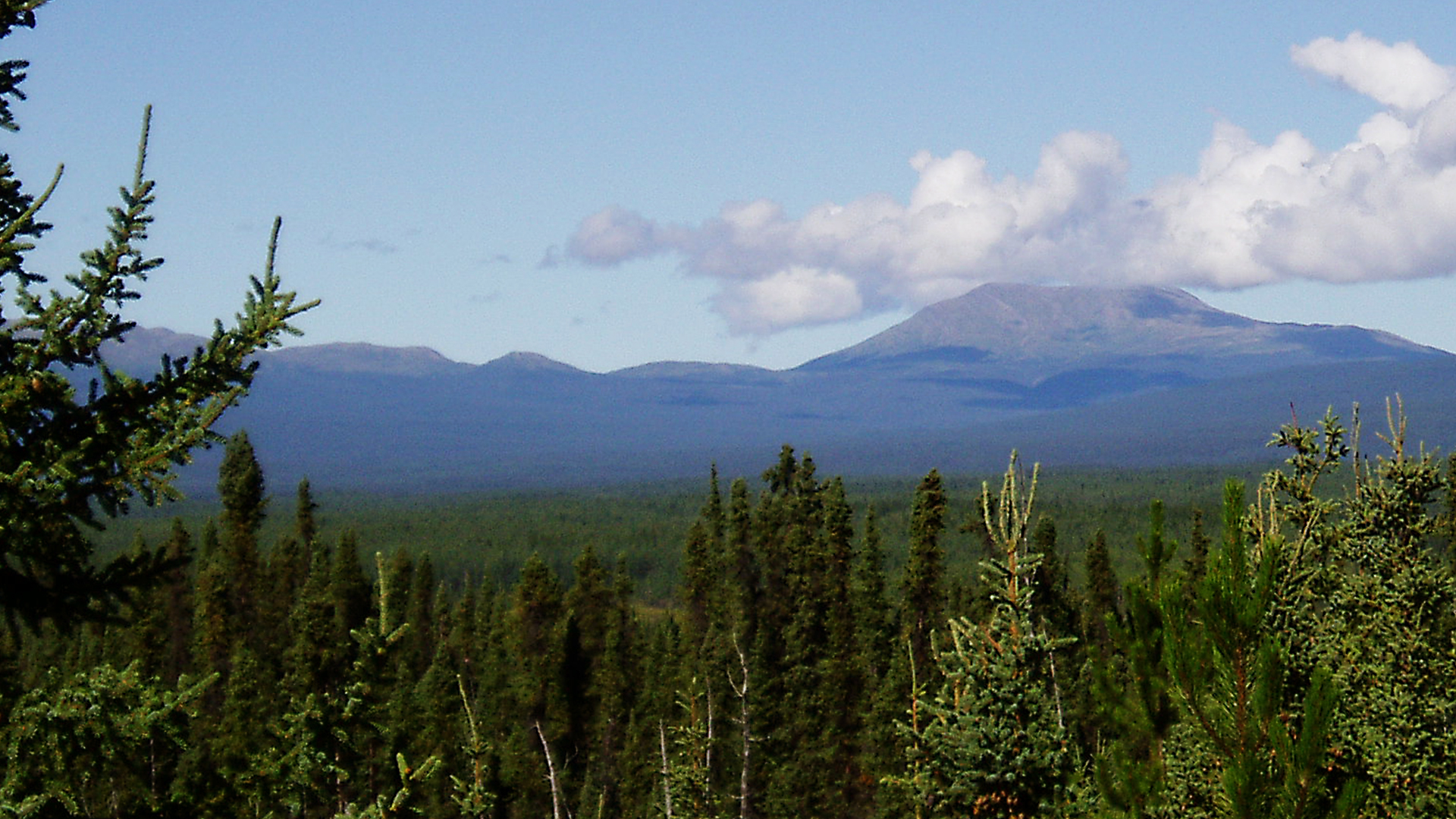 Edziza: Life from Ash and Ice | Knowledge.ca