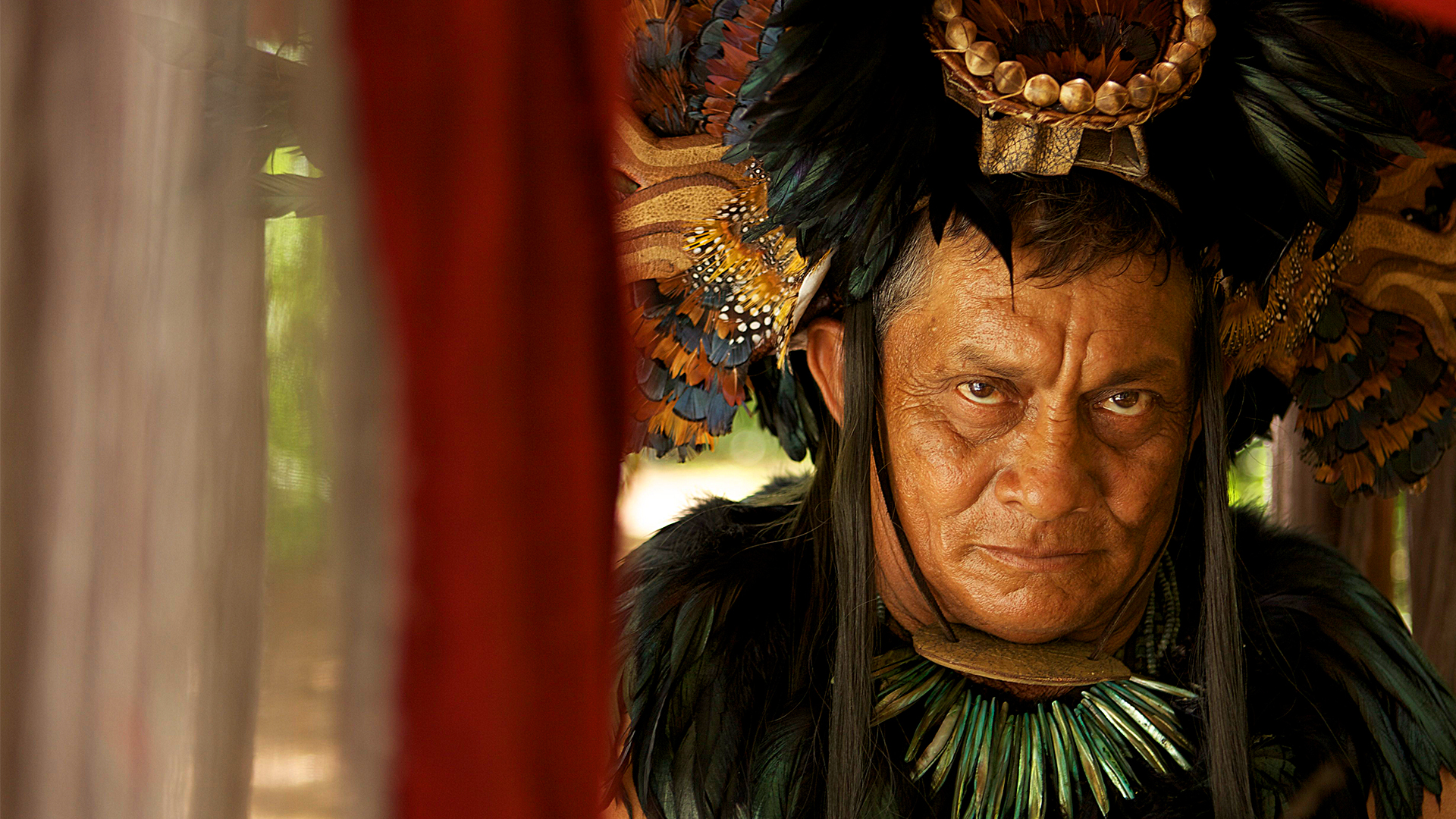 National Geographic Specials - Quest for the Lost Maya | Knowledge.ca