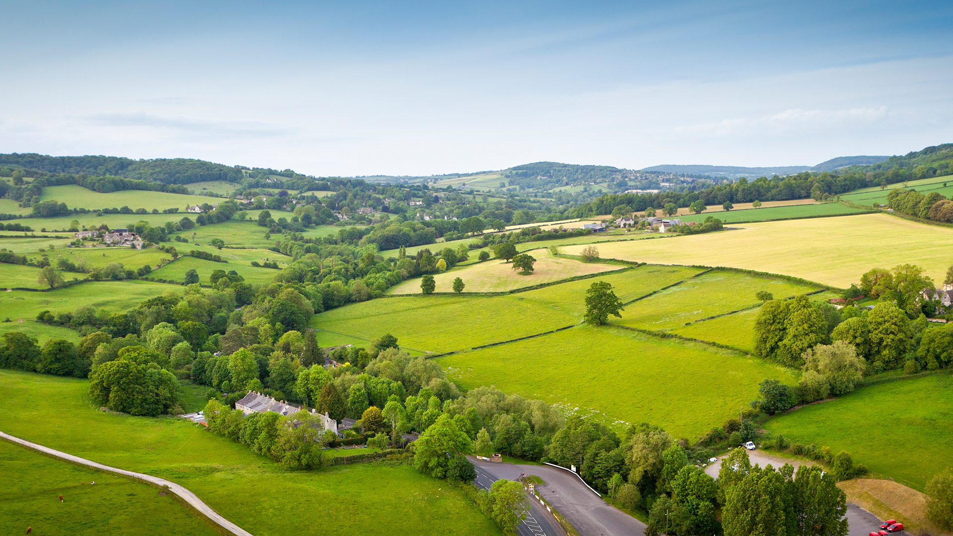 Vincent: The Full Story - E1 - Vincent: The Full Story | Knowledge.ca