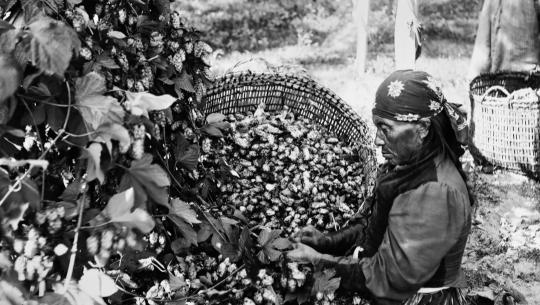 Working People: A History of Labour in British Columbia | Knowledge.ca