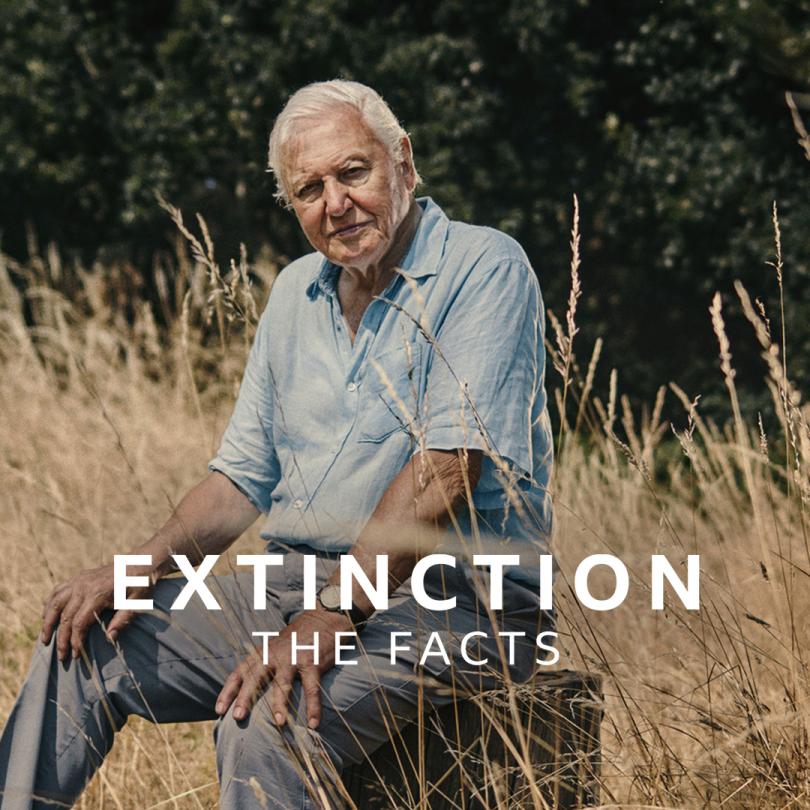 Browse | Knowledge.ca