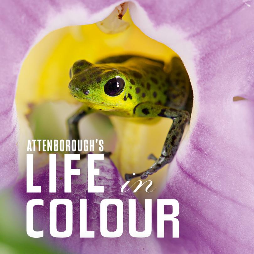 Browse | Knowledge.ca