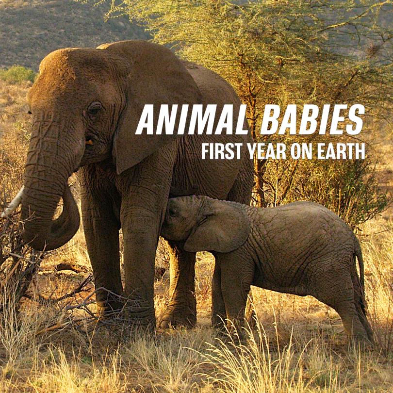 Browse | Knowledge.ca