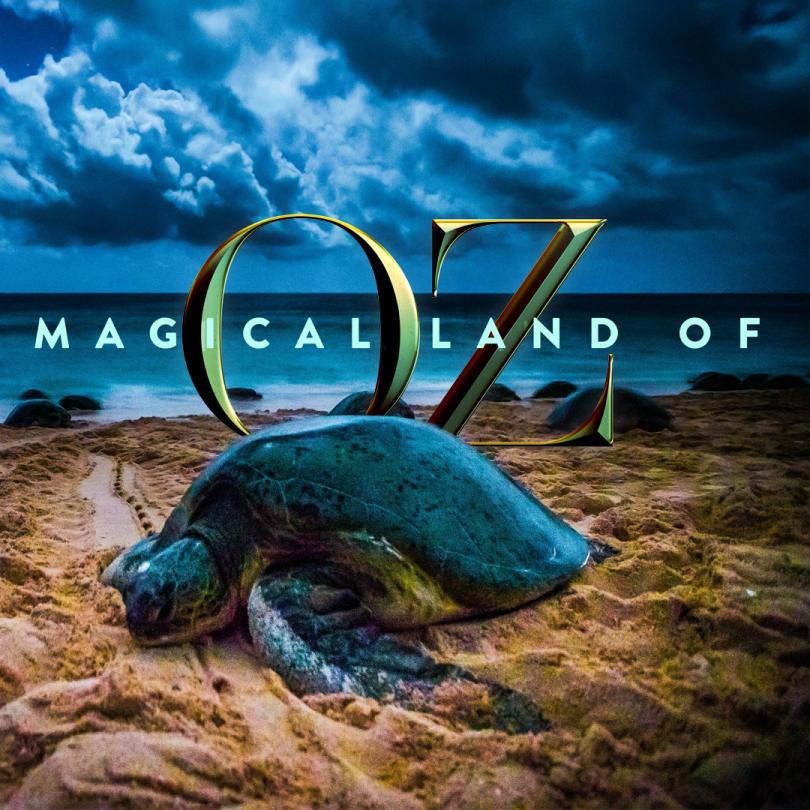 Browse | Knowledge.ca