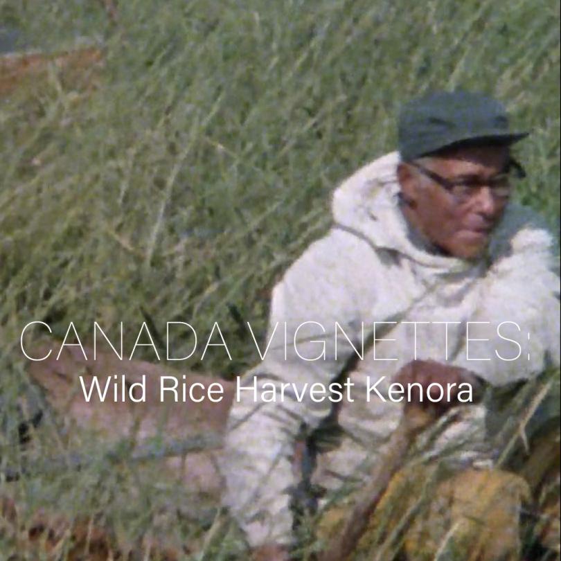 Browse | Knowledge.ca