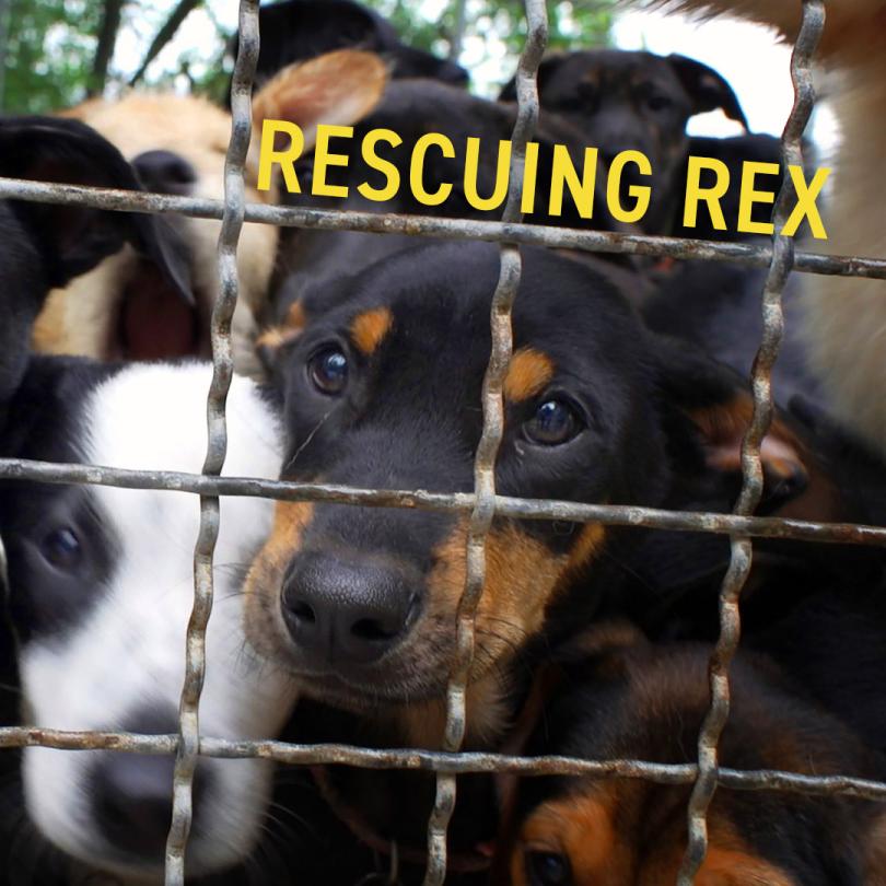 Browse | Knowledge.ca