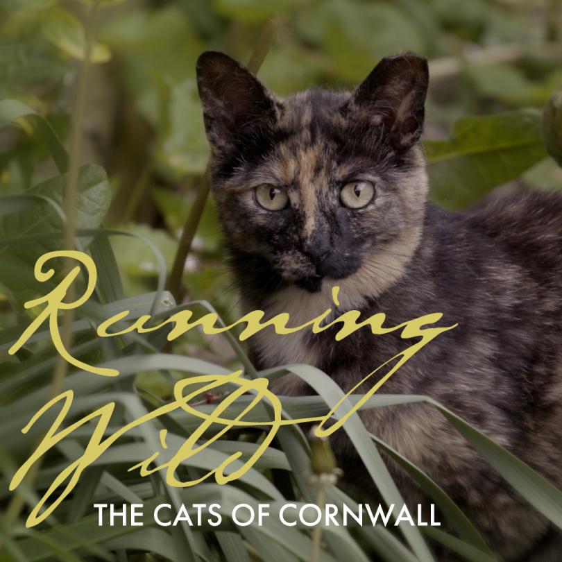 Browse | Knowledge.ca