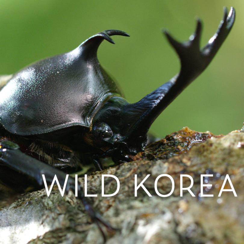 Browse | Knowledge.ca