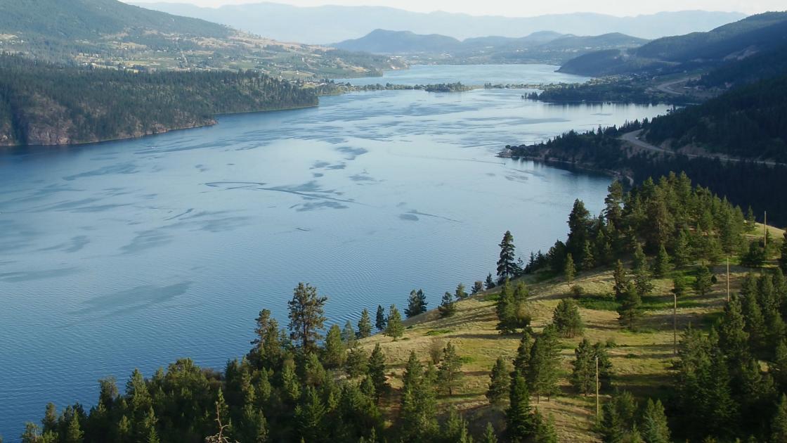 Community for the Wild | Knowledge.ca