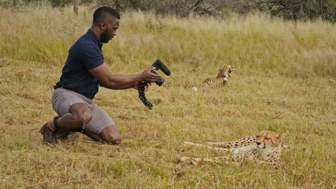 Evolve - E5 - Move | Knowledge.ca