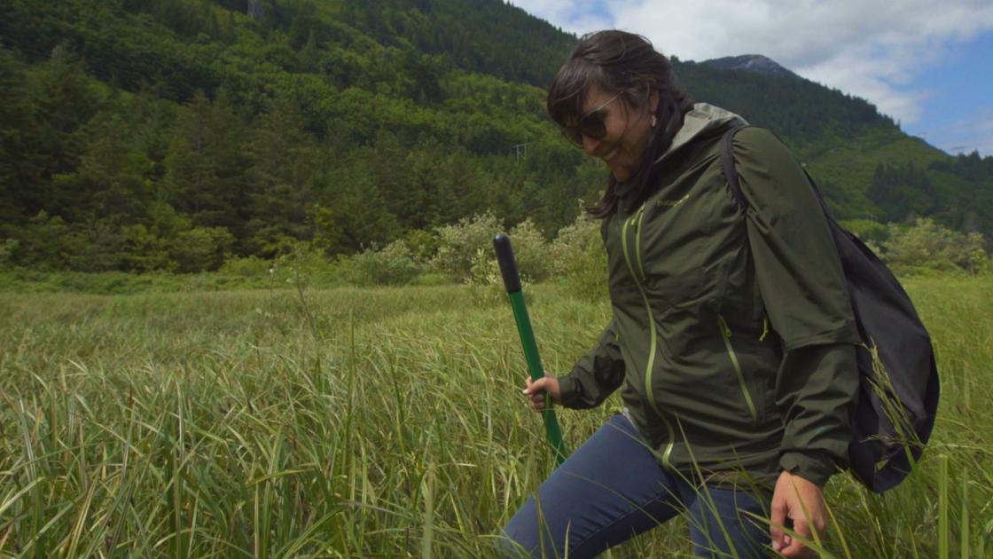 Walking with Plants | Knowledge.ca