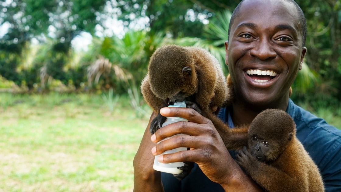 Life: First Steps | Knowledge.ca