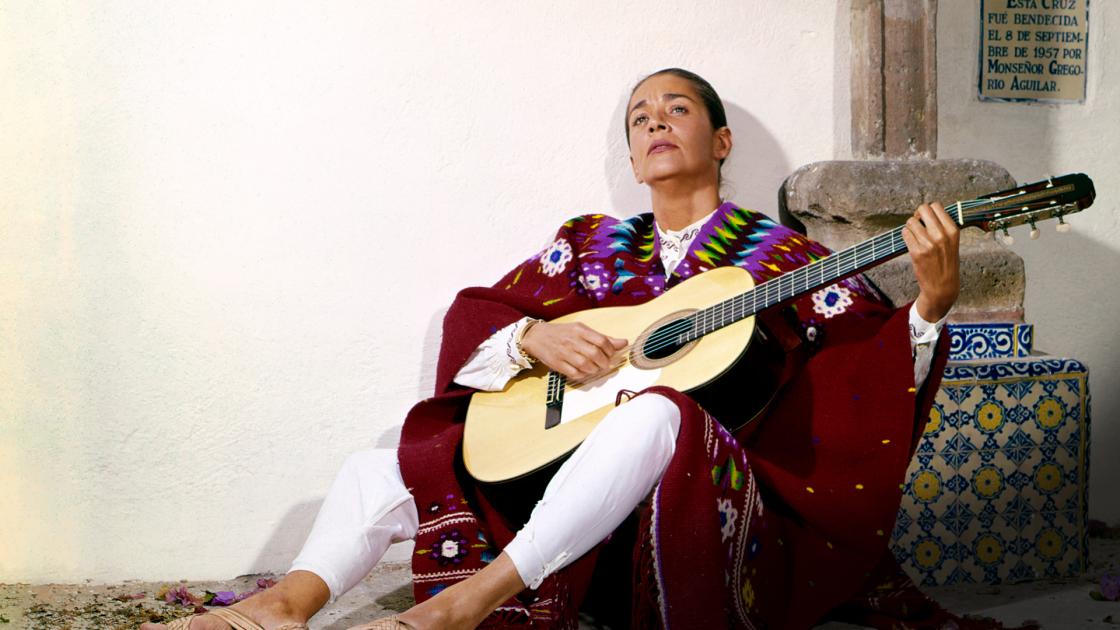 Chavela | Knowledge.ca