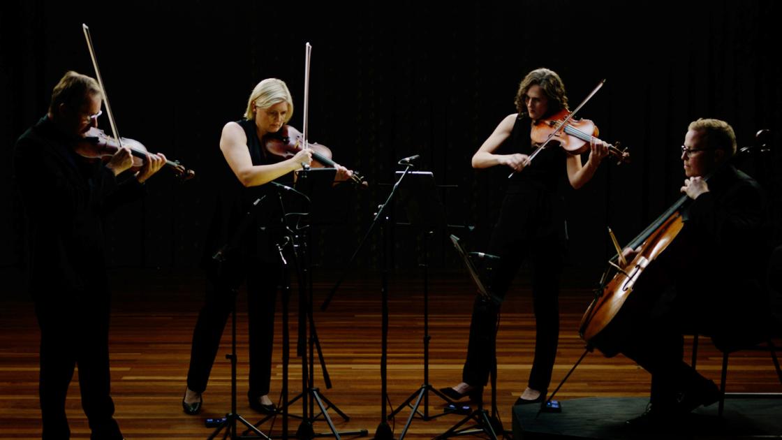 Anatomy of a String Quartet | Knowledge.ca