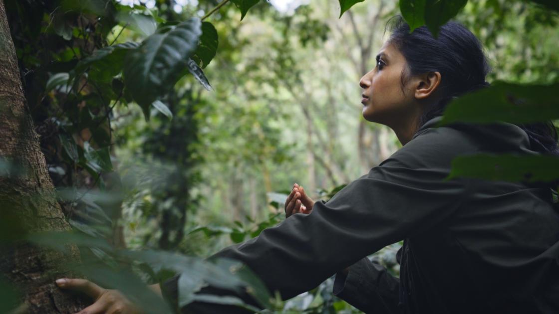 Nature and Us: A History Through Art - E2 - Understanding Nature ...