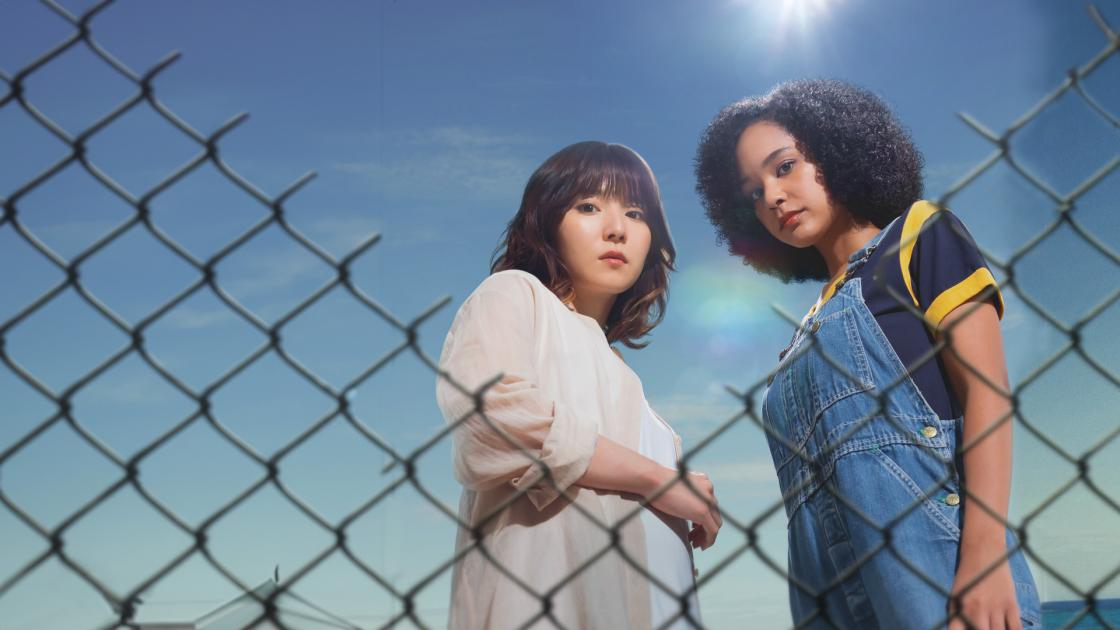 Fence | Knowledge.ca