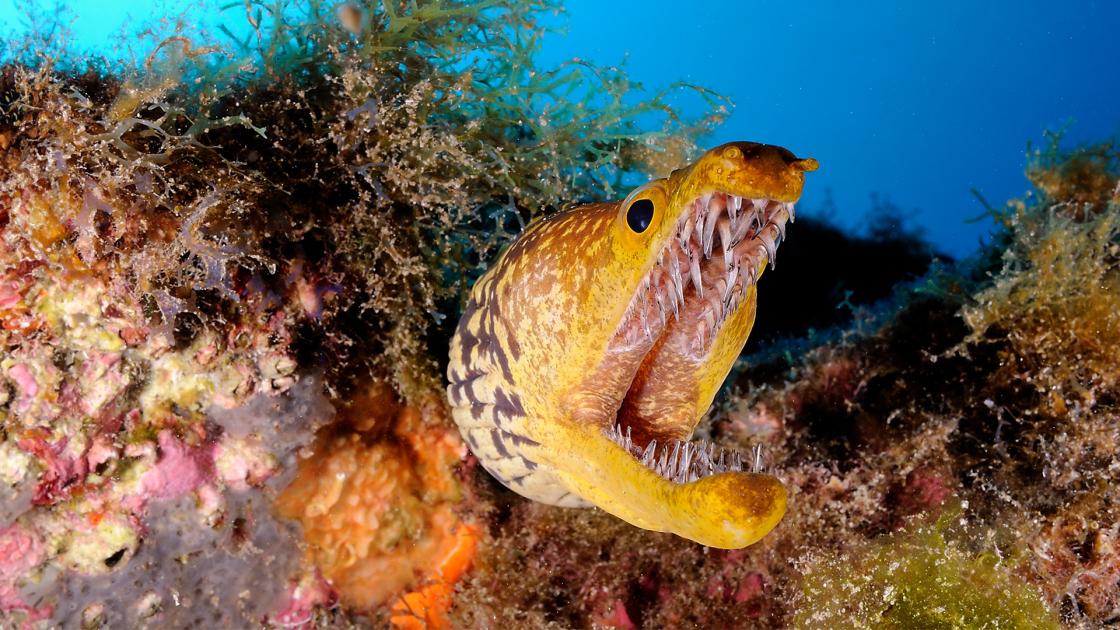 Preview | Knowledge.ca