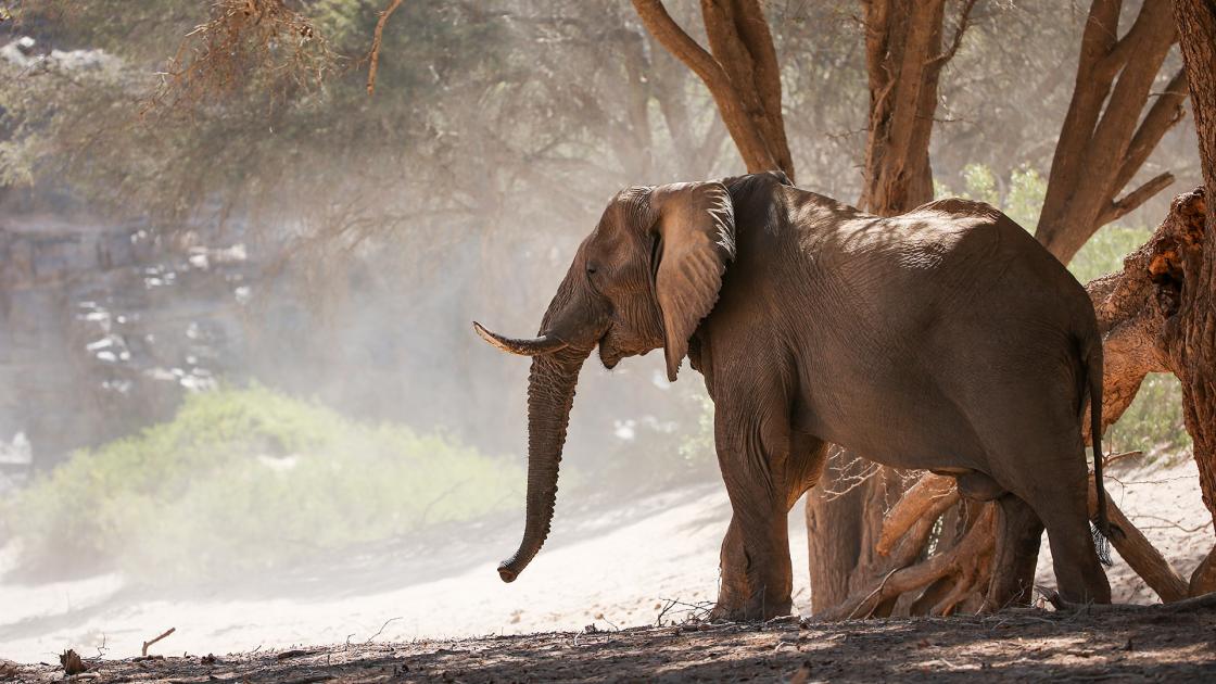 Eden: Untamed Planet - E2 - Namib | Knowledge.ca