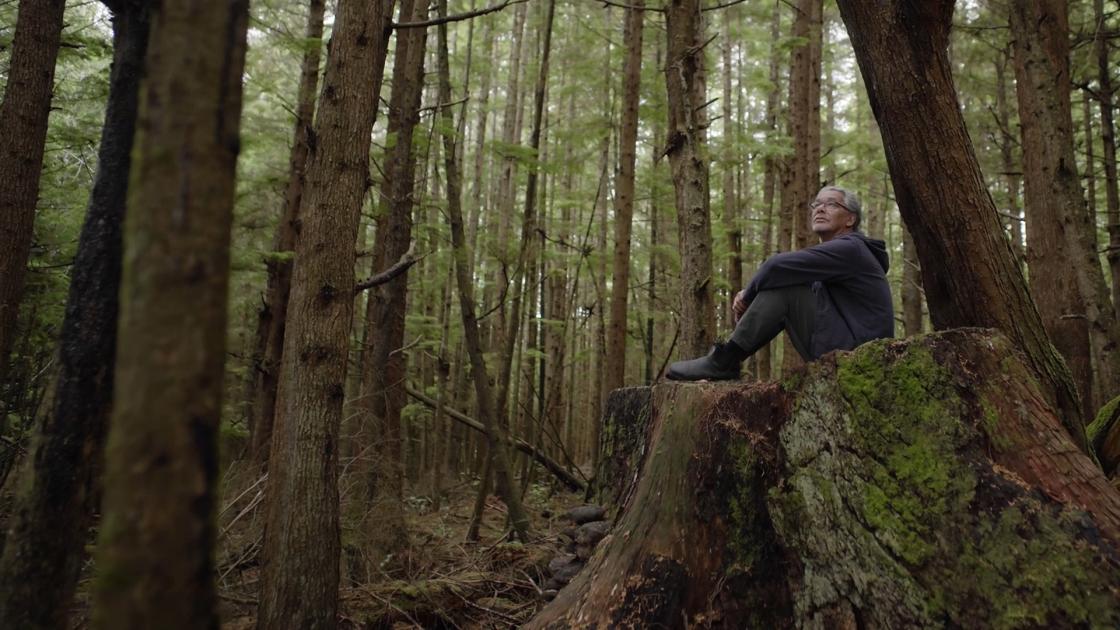 Red Fever | Knowledge.ca