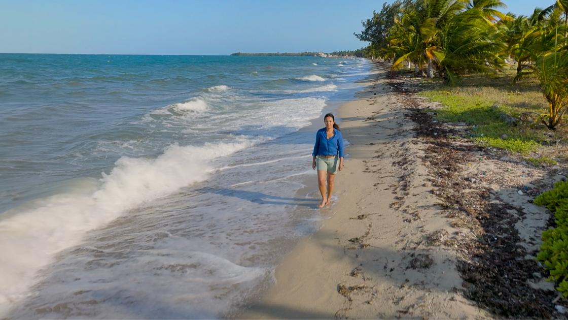 Preview | Knowledge.ca