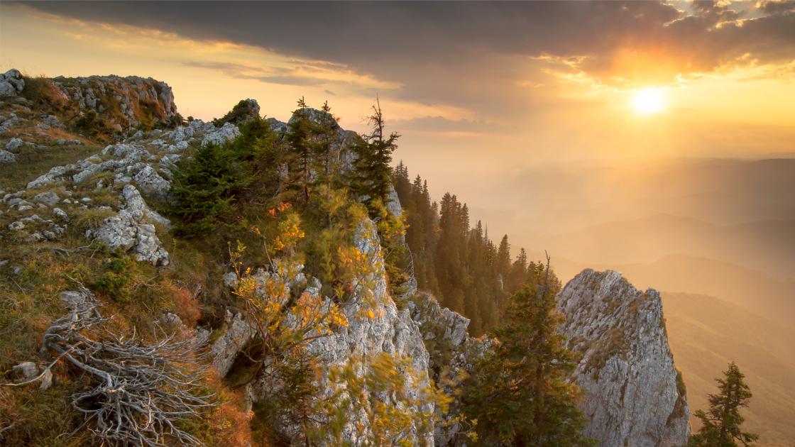 Preview | Knowledge.ca