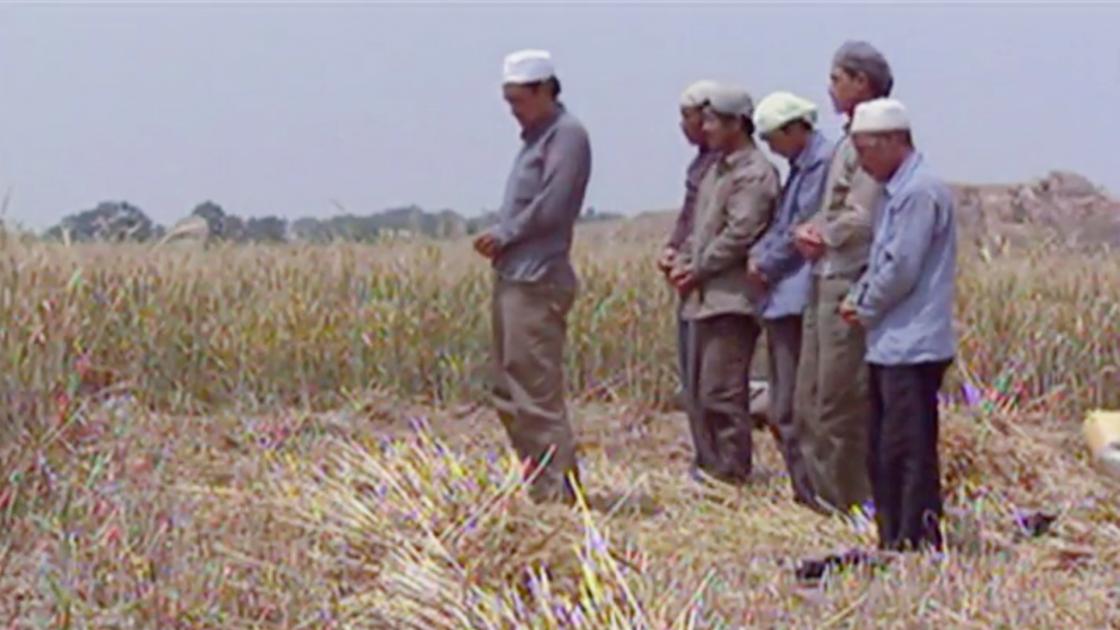 An Ordinary Season | Knowledge.ca