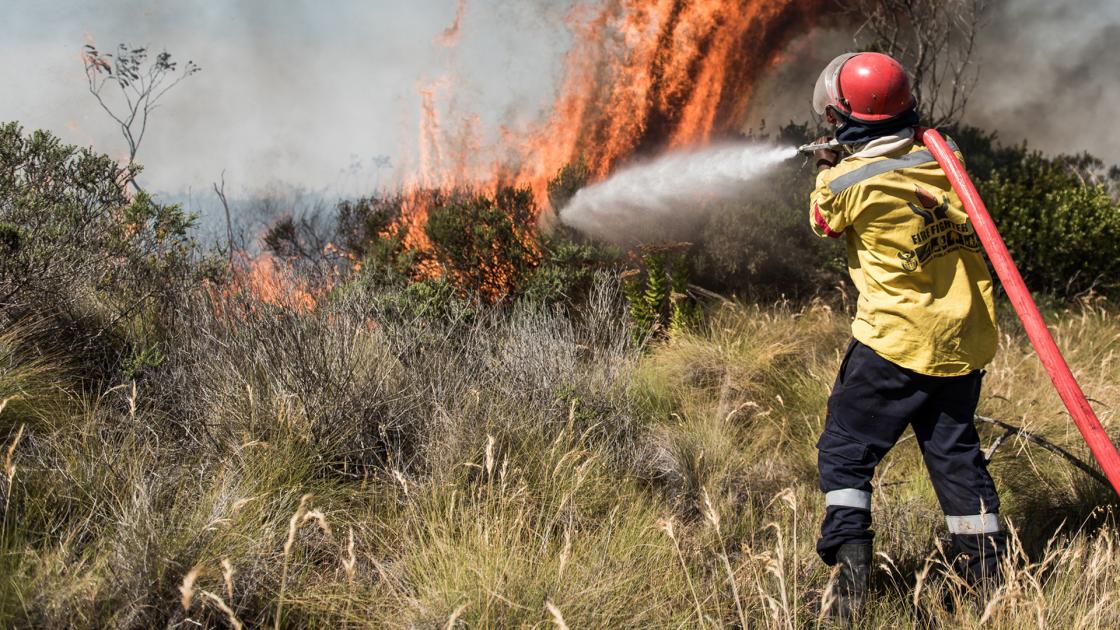 Anatomy of a Wildfire | Knowledge.ca