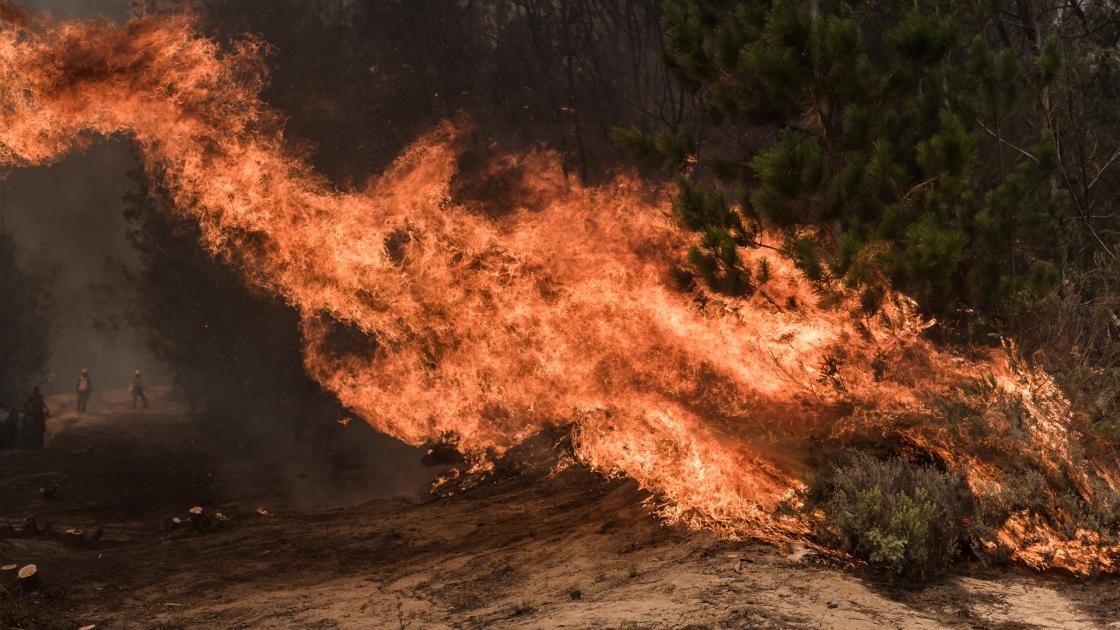 Anatomy of a Wildfire - E1 - Fire Through the Ages | Knowledge.ca