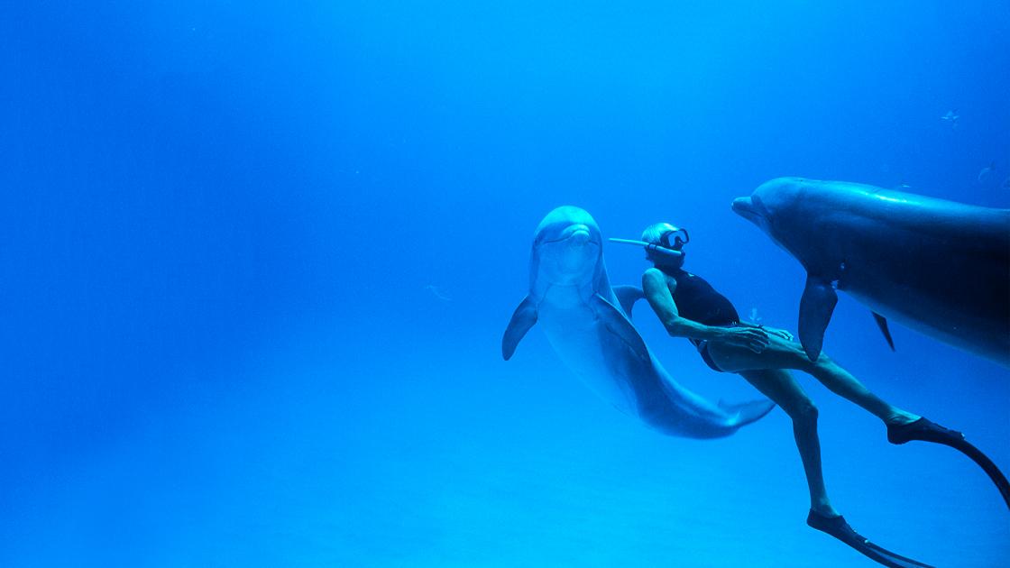 Dolphin Man | Knowledge.ca