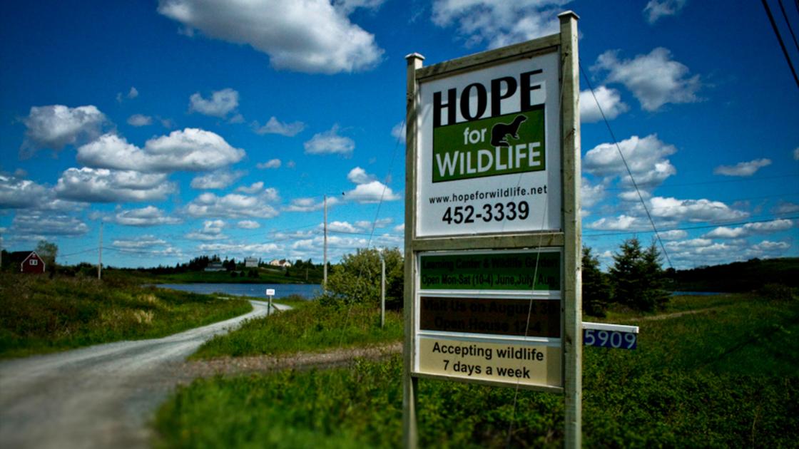 Hope for Wildlife - S1E8 - Outbreak: Part One | Knowledge.ca