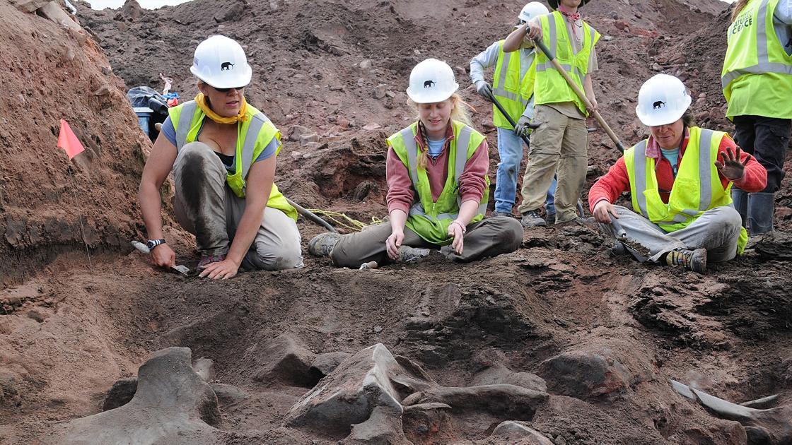 National Geographic Specials - Mastodon Death Trap | Knowledge.ca