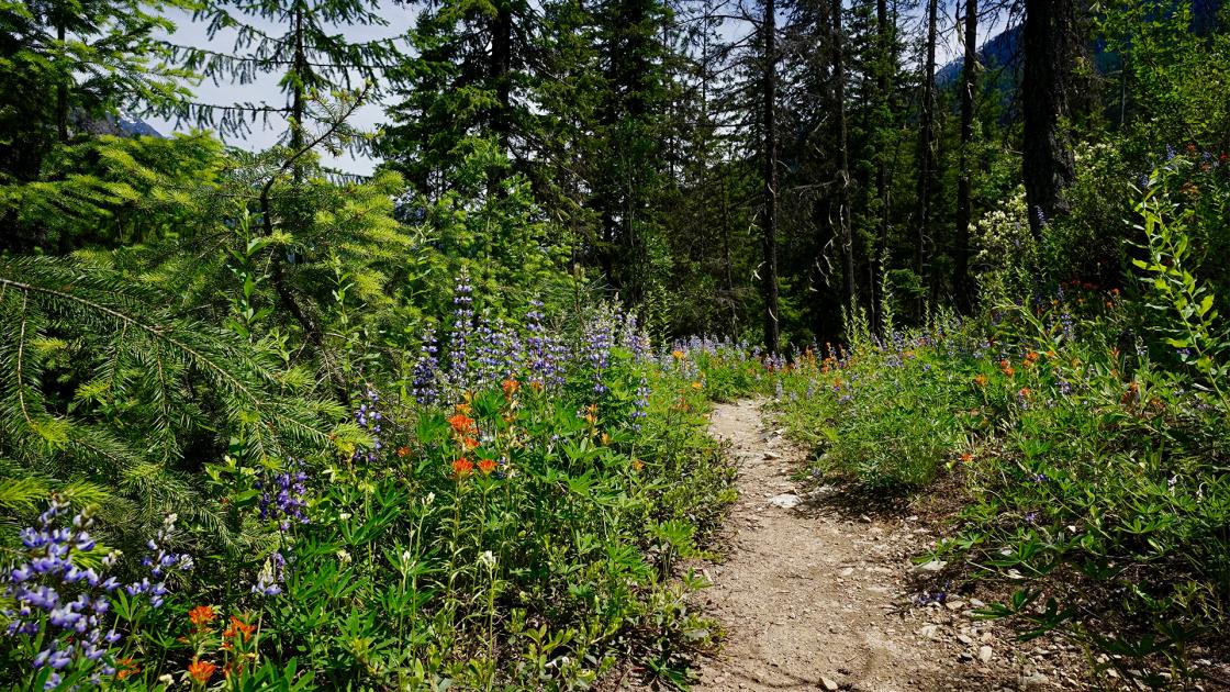 National Geographic Specials - Pacific Crest Trail | Knowledge.ca