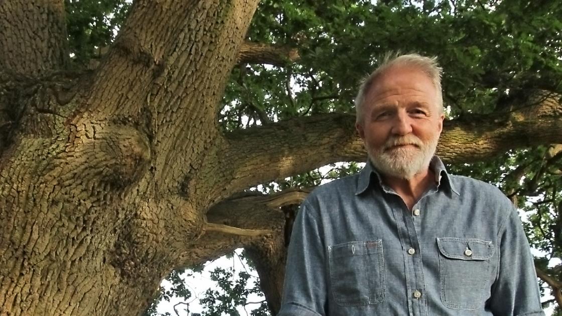 Oak Tree: Nature's Greatest Survivor | Knowledge.ca