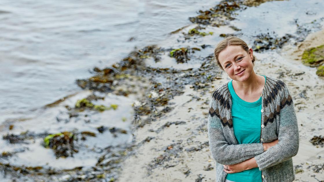 Shoreline Detectives | Knowledge.ca