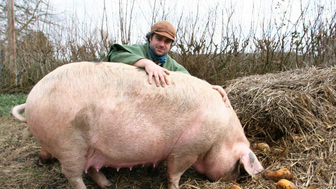 Victorian Farm - E4 - Victorian Farm | Knowledge.ca