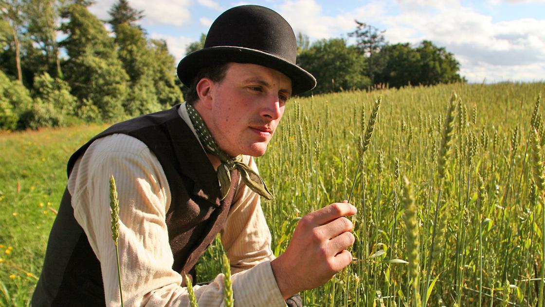 Victorian Farm - E6 - Victorian Farm | Knowledge.ca