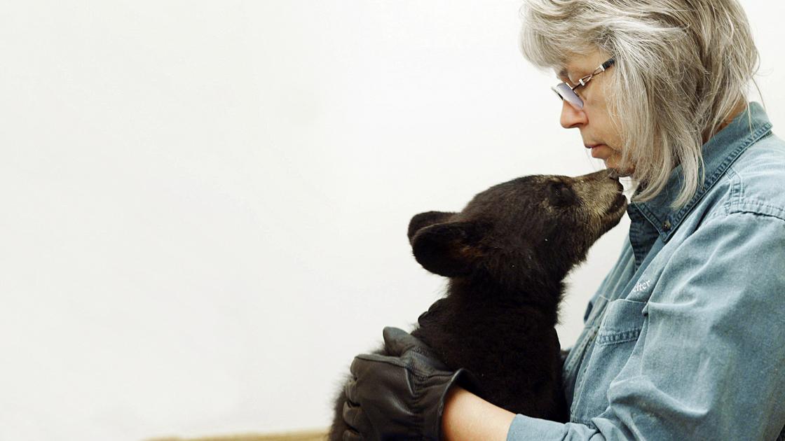 Wild Bear Rescue - S2 - Preview | Knowledge.ca