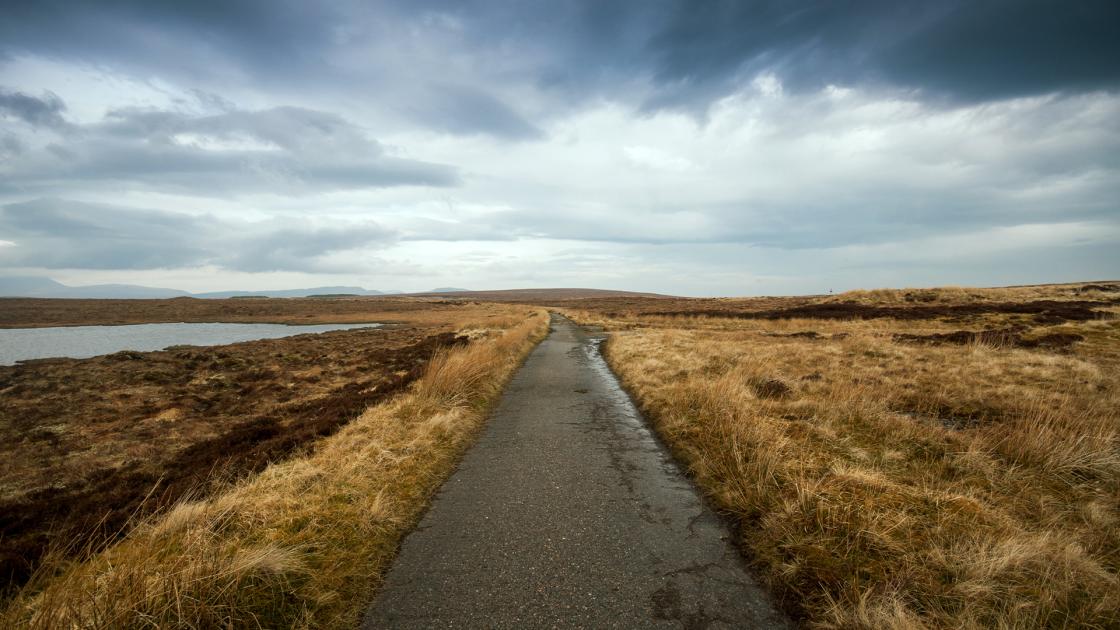 Wild Britain with Ray Mears - S2E6 - The Flow Country: Caithness and ...