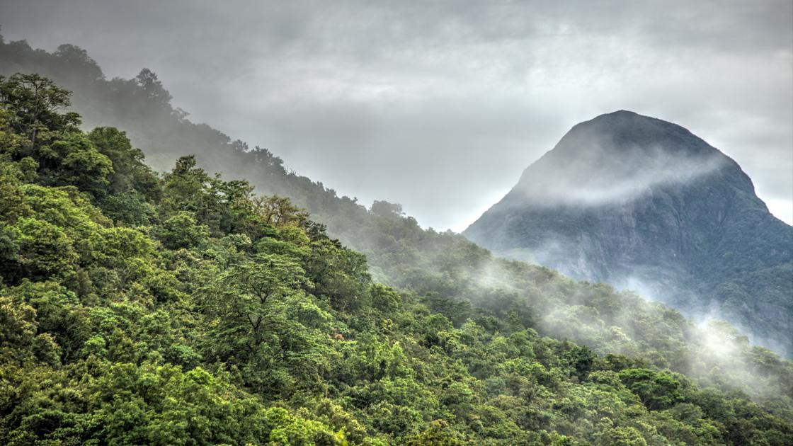 Wild Sri Lanka - E2 - Forest of Clouds | Knowledge.ca